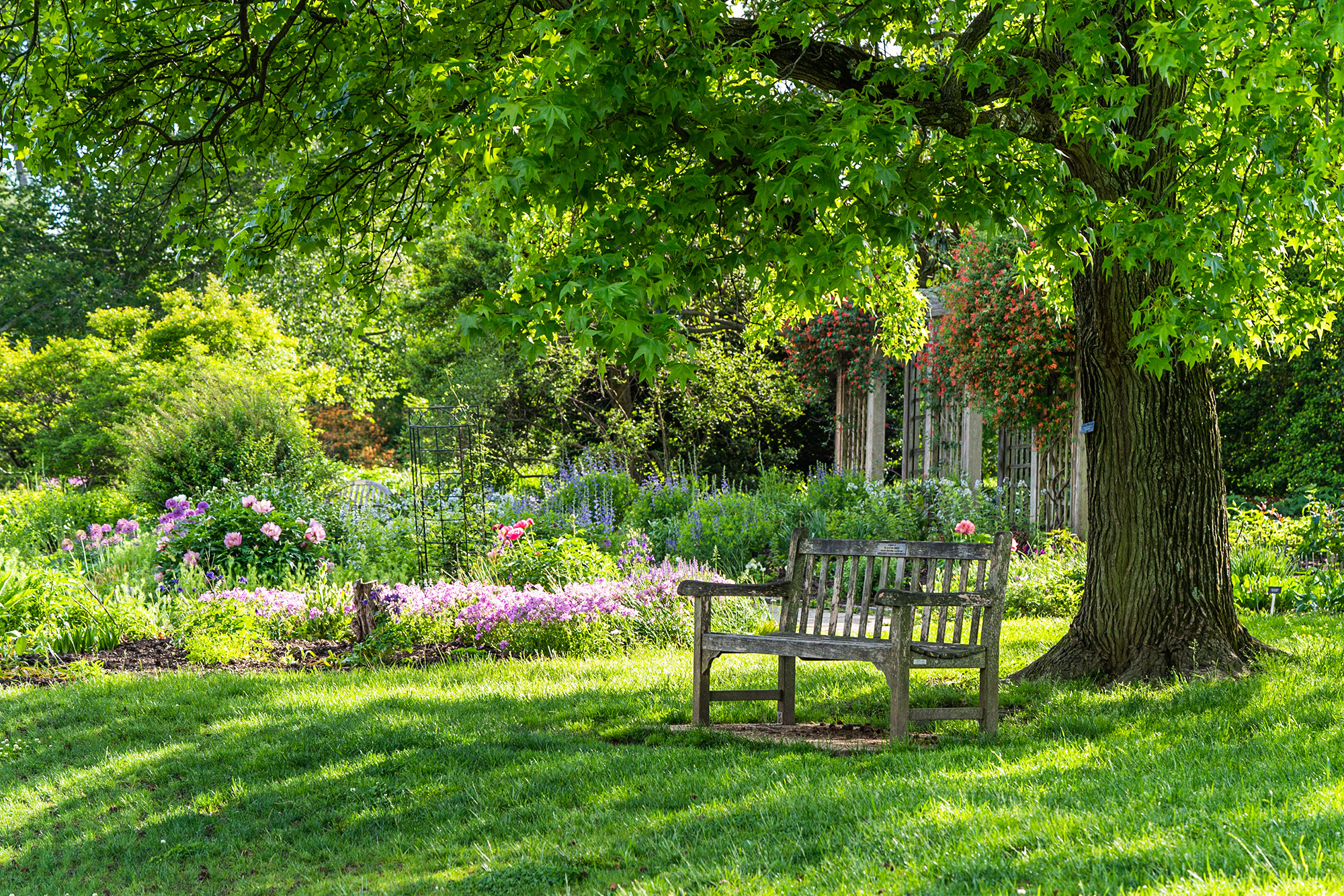 kunstform-garten.de – Garten- und Landschaftspflege